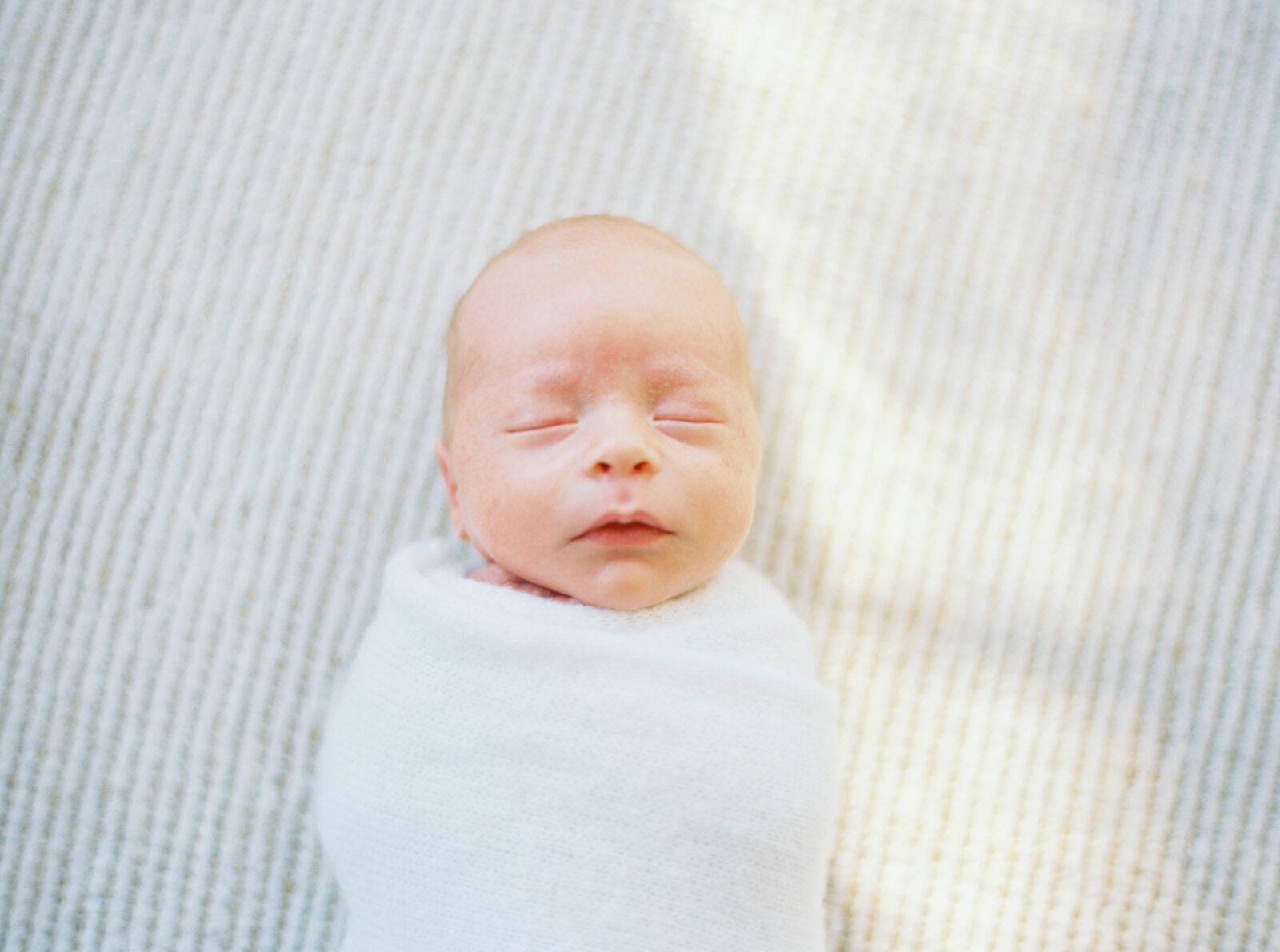 Campbell Newborn Session - elleboonephotography.com